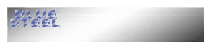 LogowithBackground - Blue SteelCo, Inc.